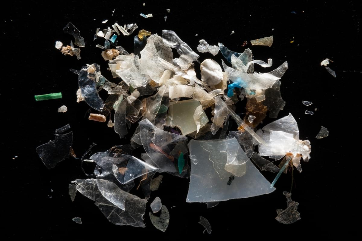 Weight Of Microplastics Raining On Auckland Equal To 3 Million Plastic